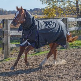 Maxim Prince Full Body Diablo Turnout - 300gm